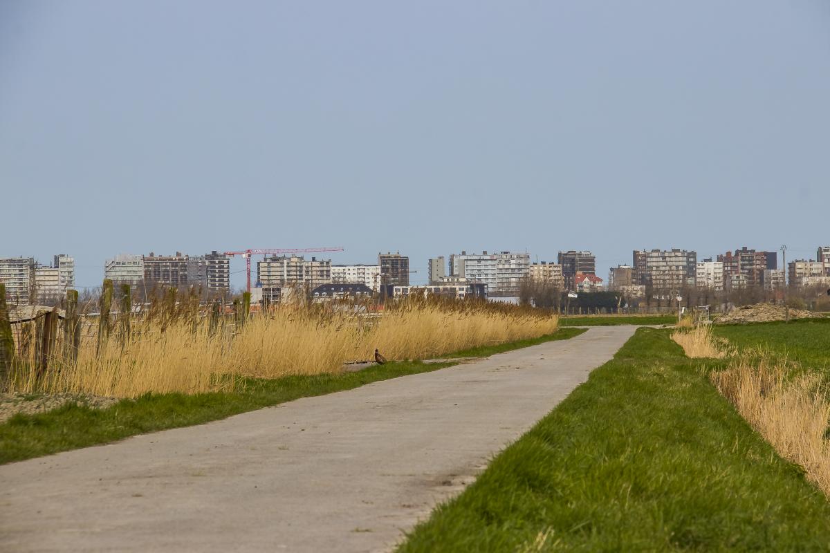 Betere woon- en levenskwaliteit voor Middelkerke | Gemeente Middelkerke