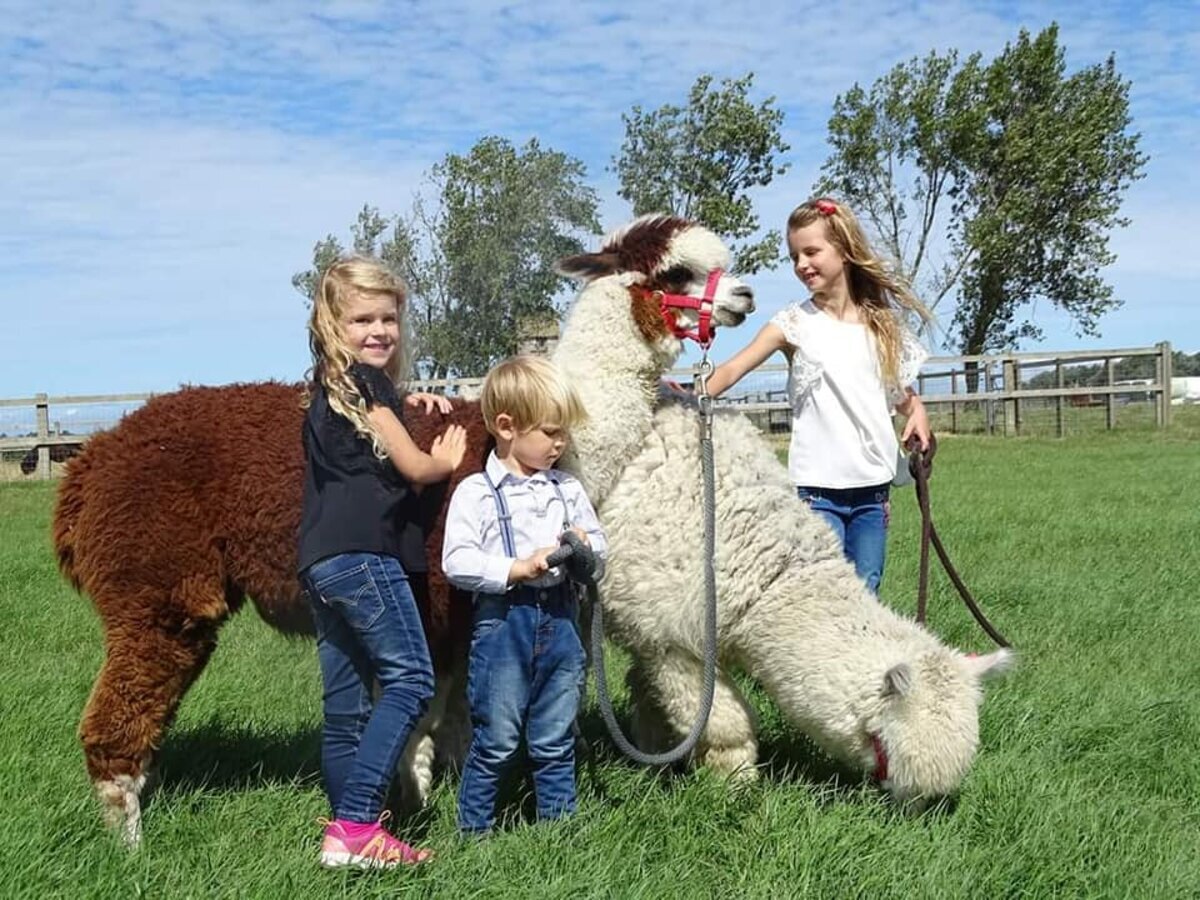Hof te Lande | Gemeente Middelkerke