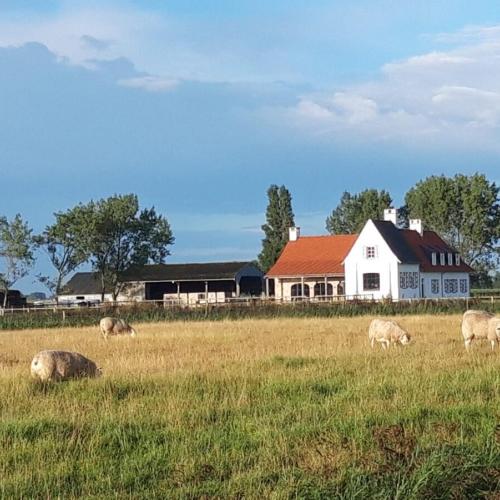 Hof te Lande | Gemeente Middelkerke